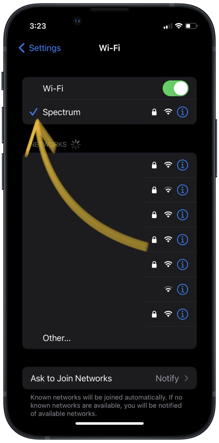 Check The WiFi Connection On Your Apple Watch | UpPhone